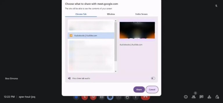 รีวิว Google Meet: คุณทำได้ screen แชร์บน Google Meet | FlashGet Cast