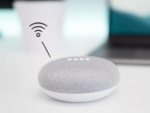 设置和连接的完整指南 Google Home 迷你| FlashGet Cast